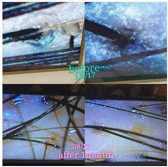 PHHP Phyto Products Help You to Lead a Happy and Beautiful Life!: PHHP ...