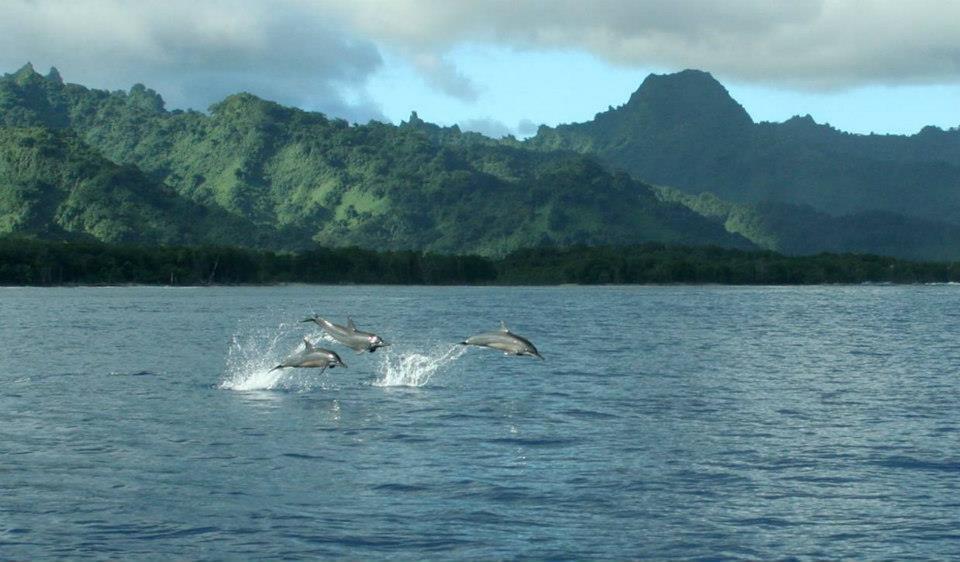 Micronesia Tour Blog: Kosrae - www.micronesiatour.com