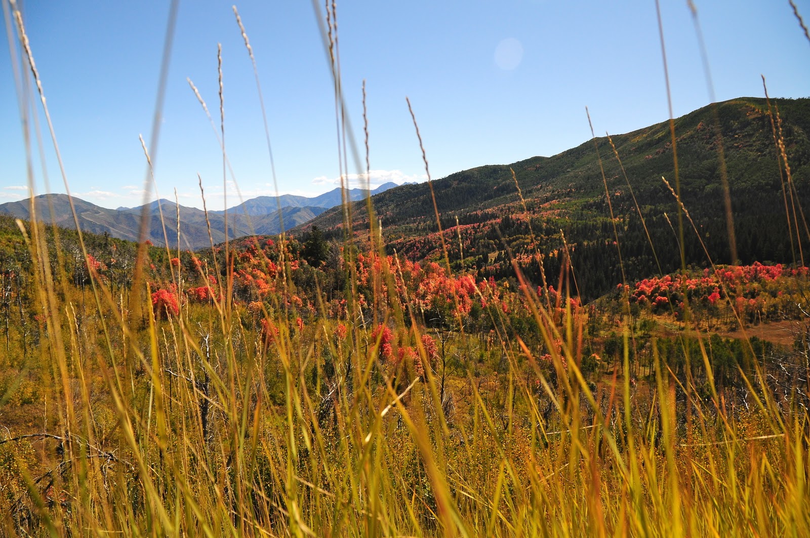 Hiking Utah: Alpine Loop and Cascade Springs Interpretive Trail