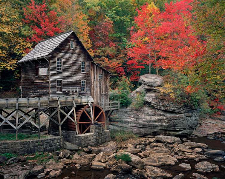 Los Grandes Fotografos: David Brookover (1954)
