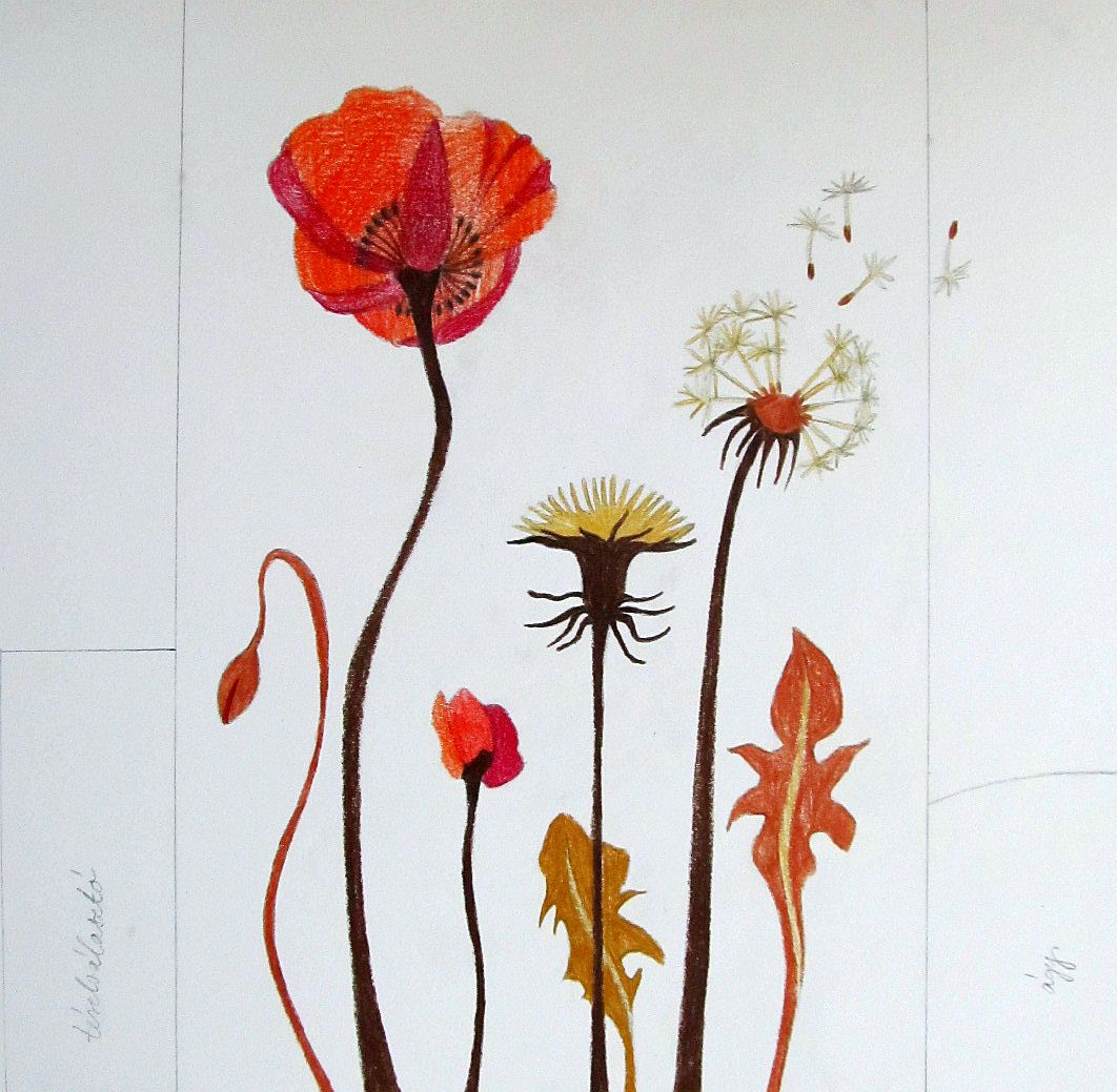 Mesemadárka: Pipacs, pitypang, nyár...