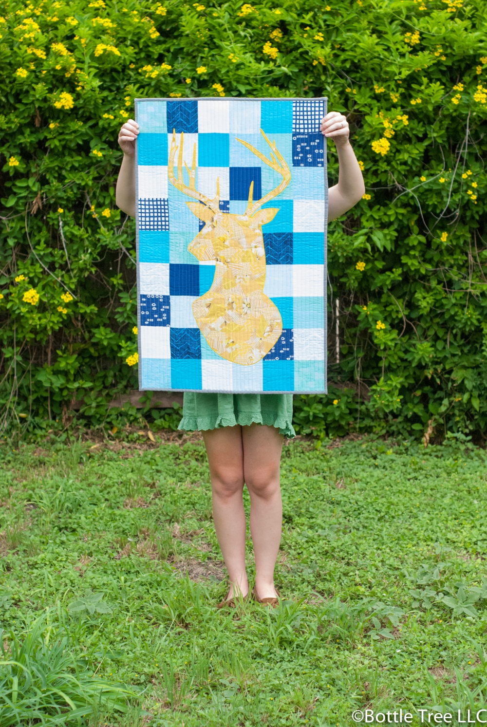 St. Louis Modern Quilt Guild: The STLMQG welcomes Shannon Brinkley to ...