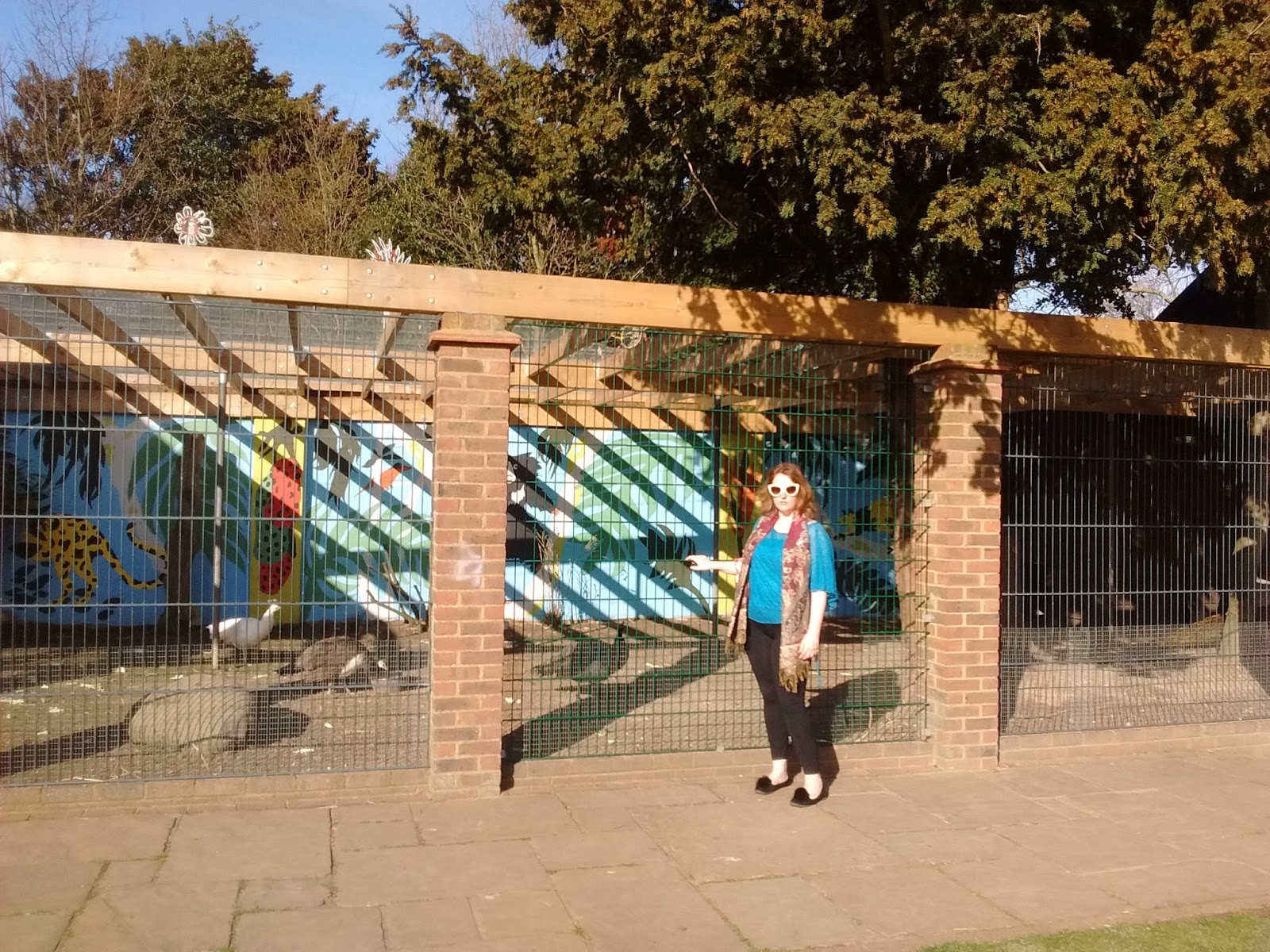 a word from wier: The Welfare of the Chalkwell Park Peacocks