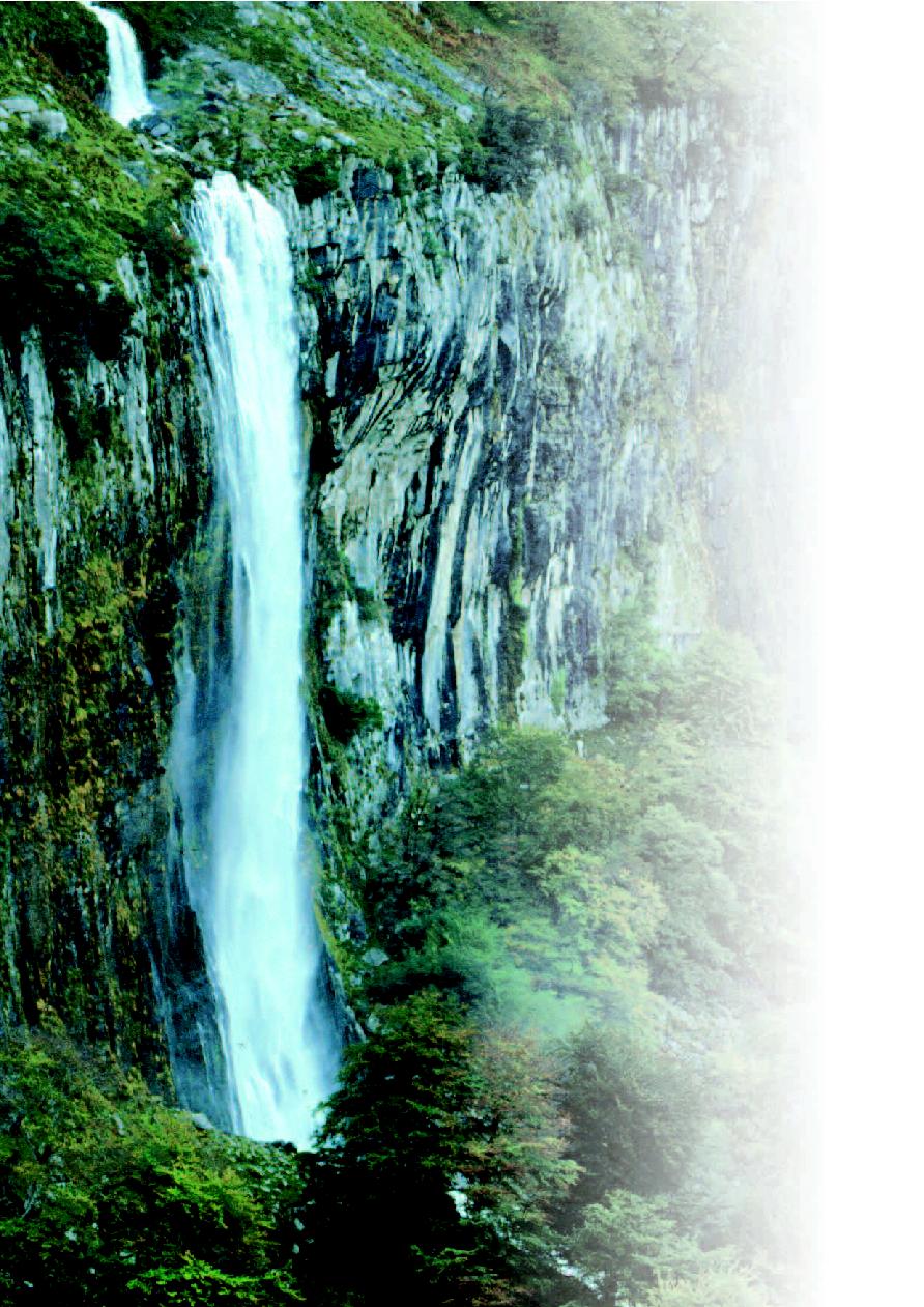 Running on Sunshine: Medio Natural