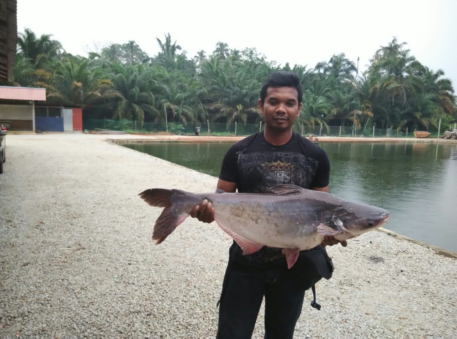 PIRATE'S KAIL: kolam pancing 123 batu arang