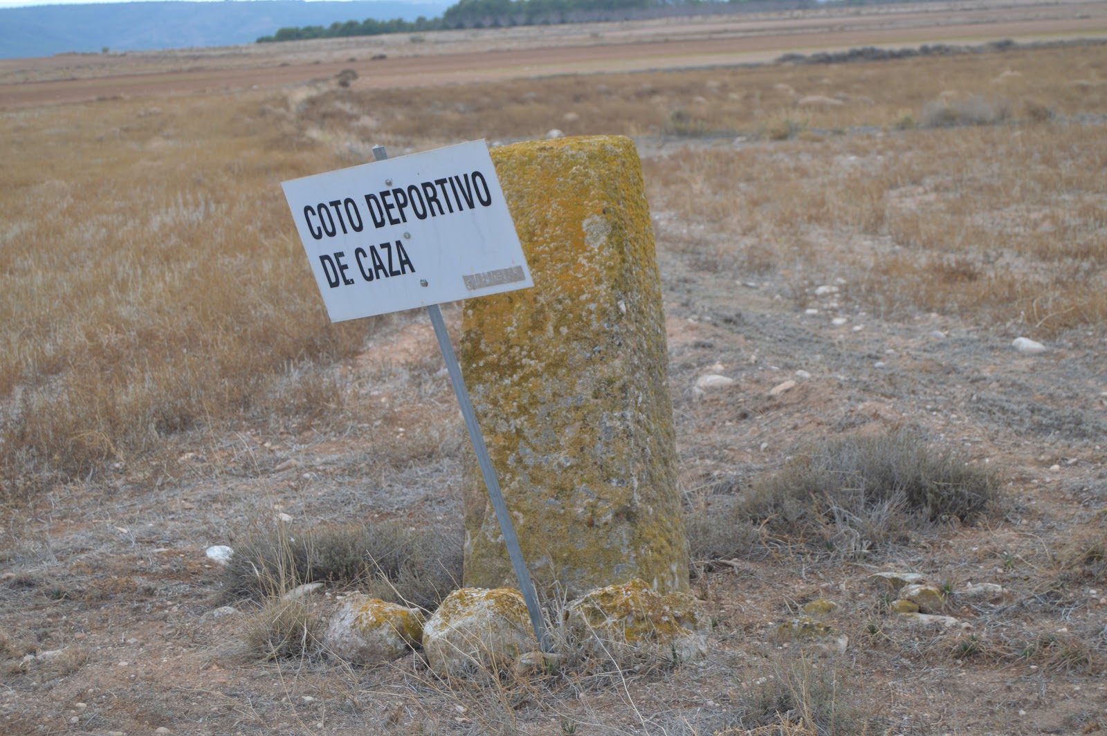 eshijar : ALGUNOS MOJONES EN EL MONTE DE HIJAR