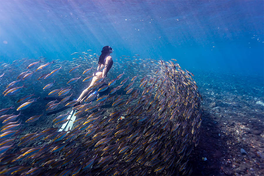 Fotos: A "sereia da vida real" que consegue mergulhar por mais de ...