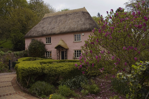 A Joyful Cottage: For the Love of a Pink Cottage