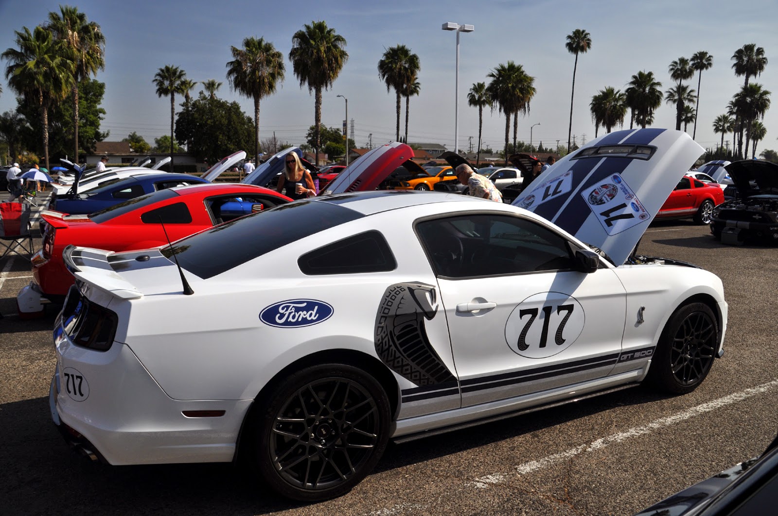 Cool Mustangs Pictures