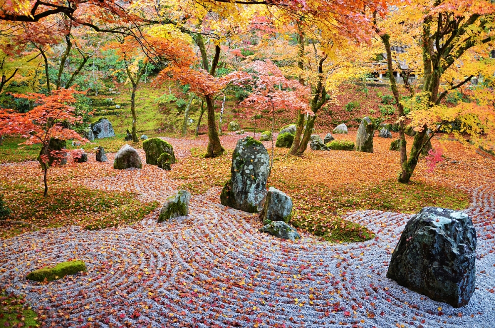 Endless Traveling Map: 7 Places to See Autumn Leaves in Kyushu, Japan