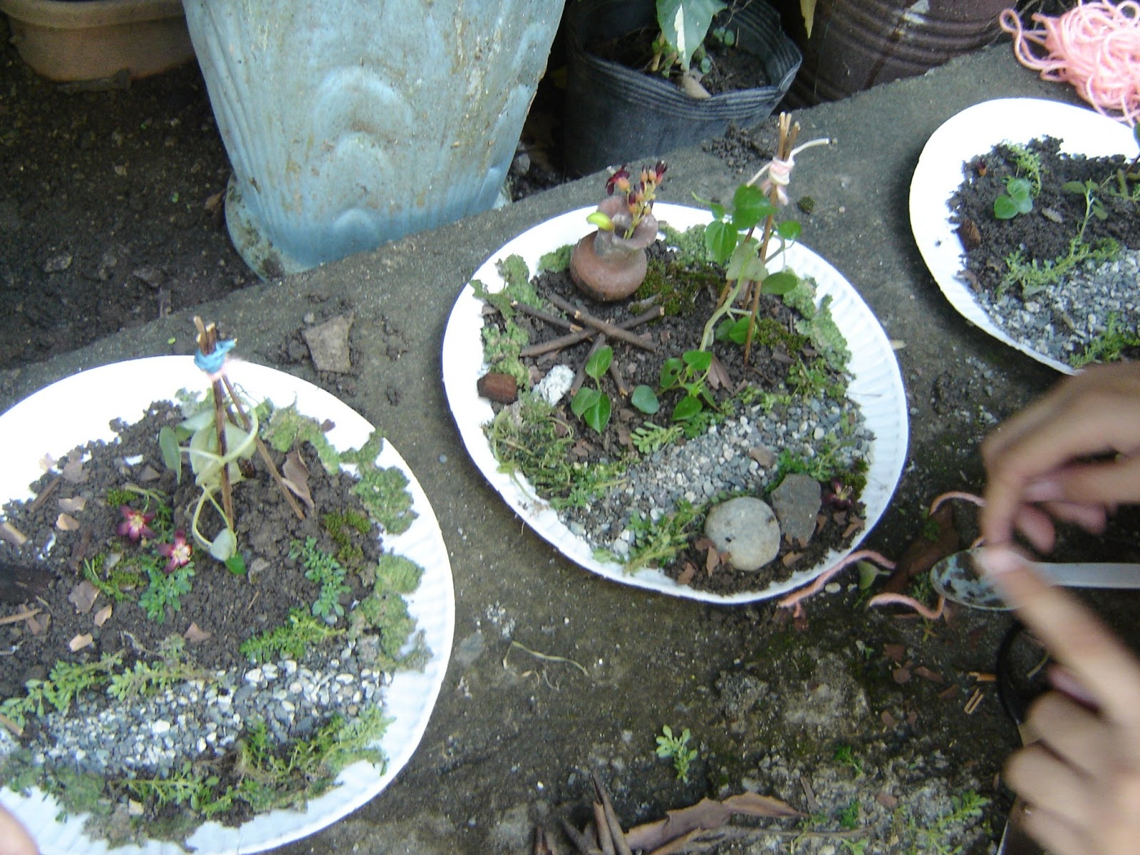 Riona's (A.K.A. Amorina) Pages: Miniature Moss Plate Garden