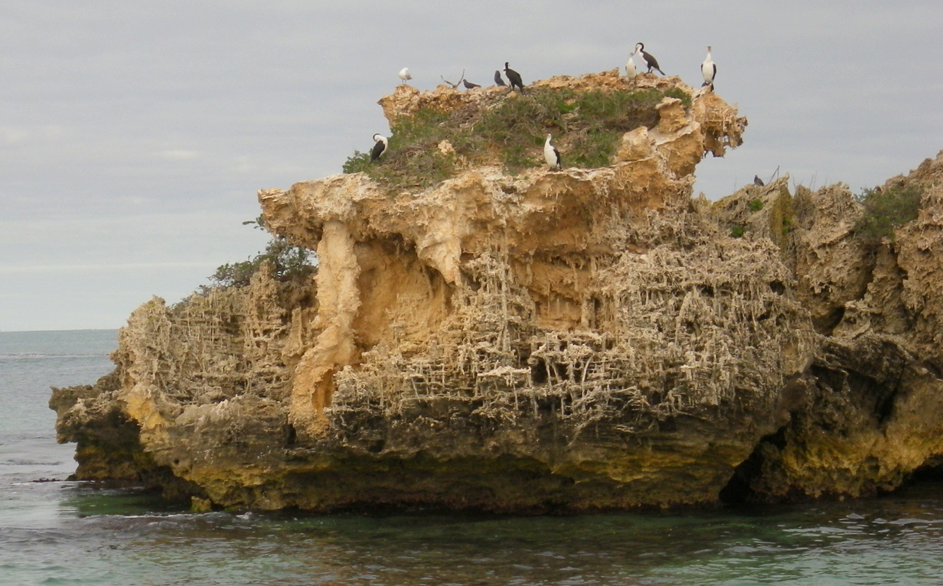 The Glebe Blog: The Glebe in the Antipodes - Western Australia