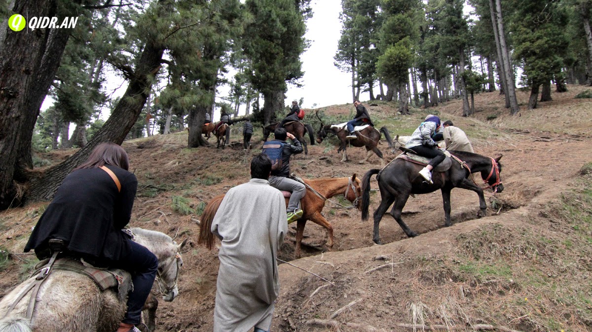 qidr.an ©: Kashmir 2014 | Day 3 Pahalgam : Pony ride