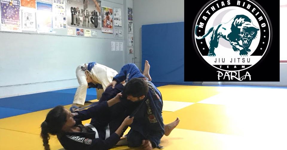 Bushi Ryu - Escuela de Artes Marciales: BJJ