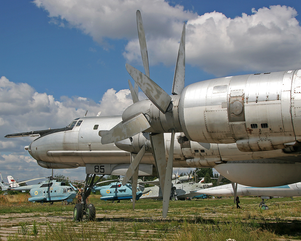 A Born Again Roman: Tupolev Tu-142