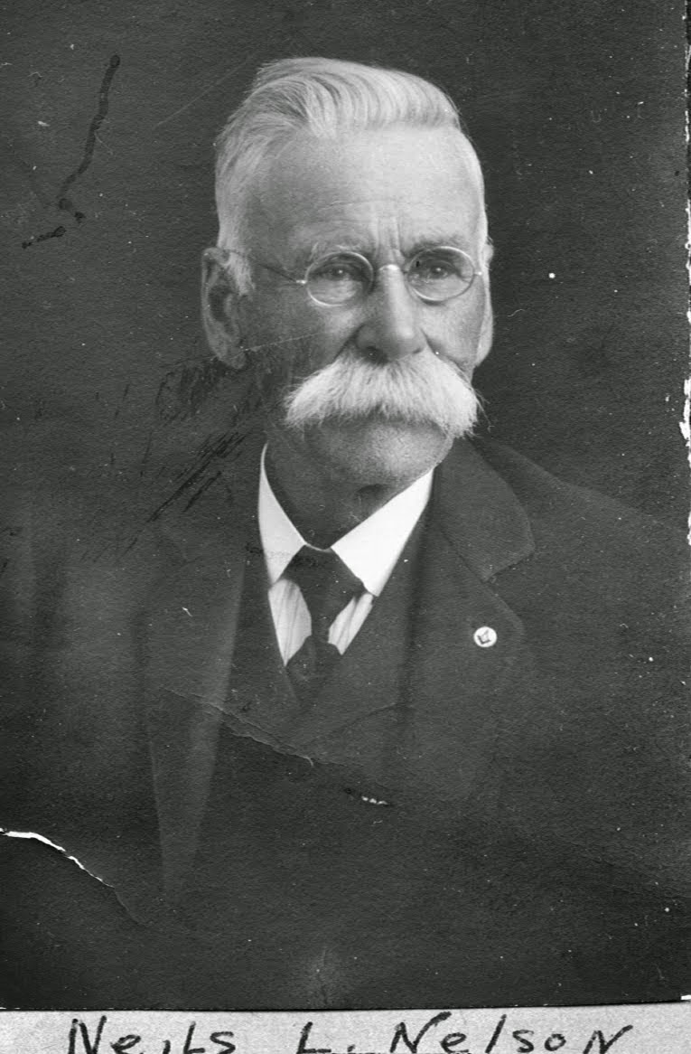 Nels Nelson/Hans Hanson Family History