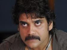 Akkineni Nagarjuna Bollywood Actor Pictures Photos Images And Biography