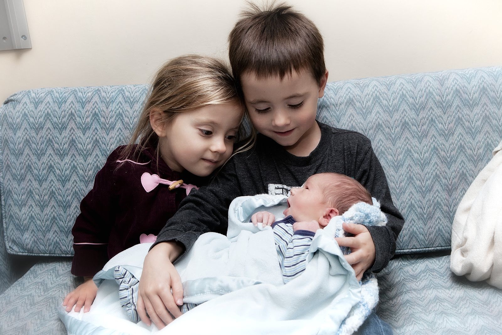 The Fearsomely Fantastic FIVE!: The Twins Meet Evan