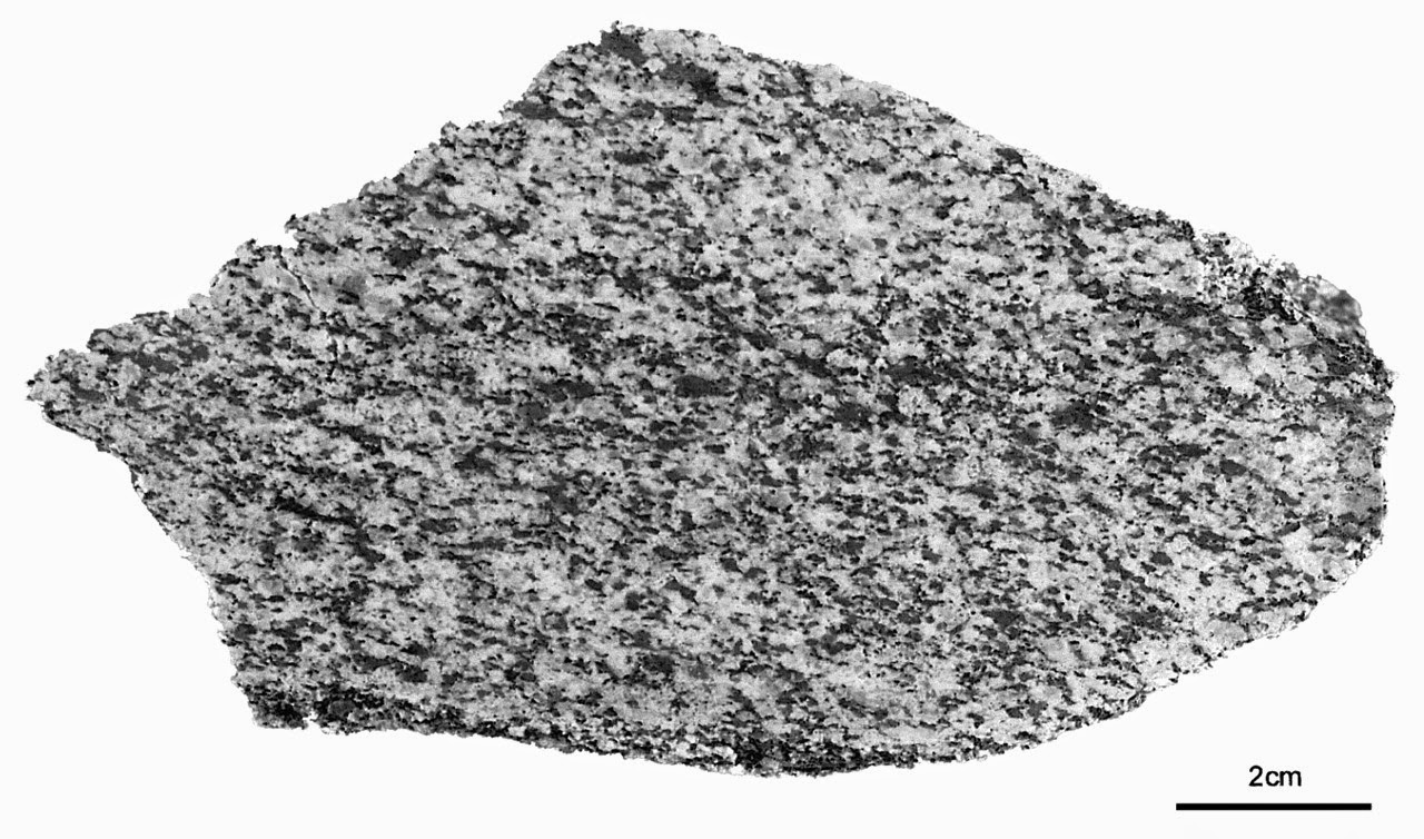 Tonalita (Tonalite) - Roca