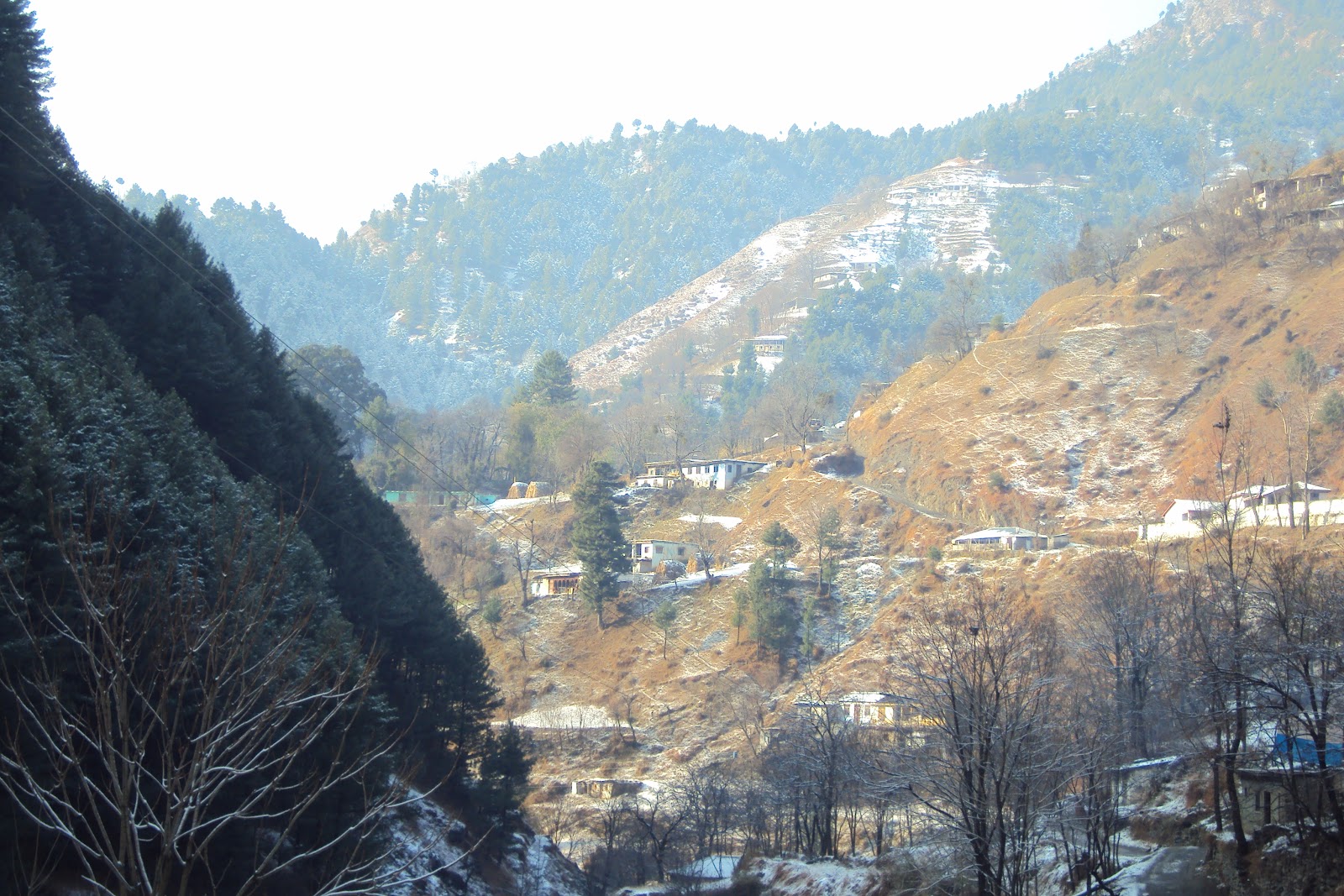 History of Abbottabad,s JADOON,s