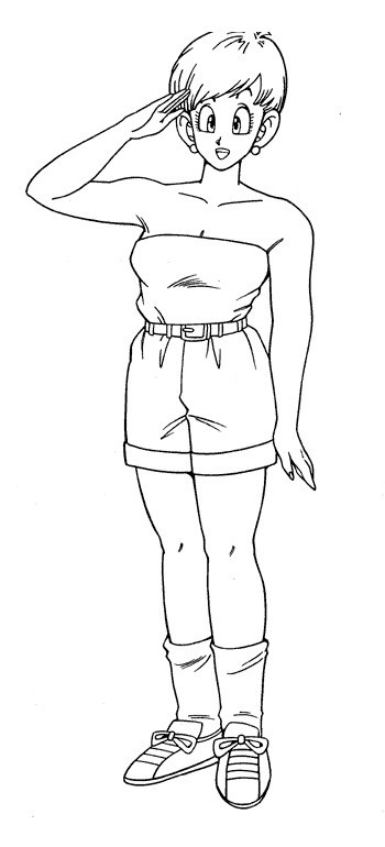 Bulma coloring | COLOR AREA