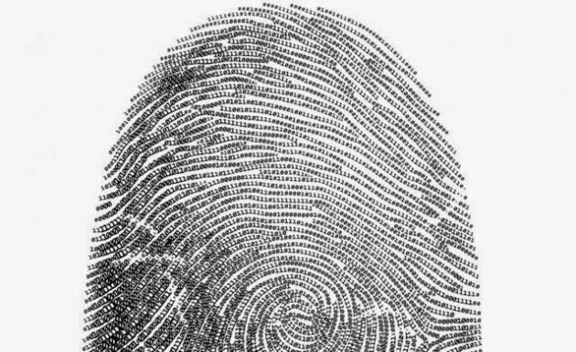 Un mundo mejor: Dato curioso, 8 cosas que no sabías sobre las huellas ...