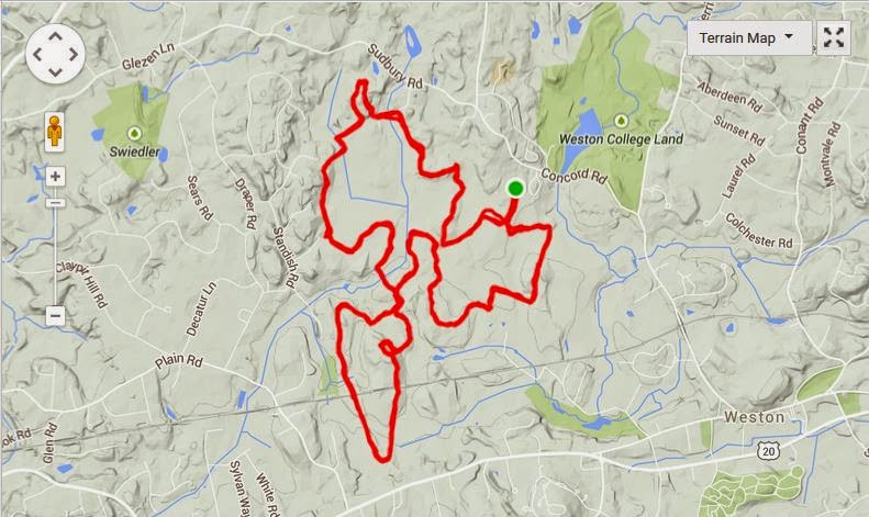 Early Morning Trails: TARC Spring Classic 50km 2015 - Race Report
