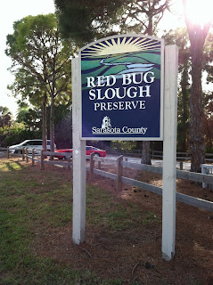 Live It Like A Local: Sarasota: A Sarasota Oasis: Red Bug Slough