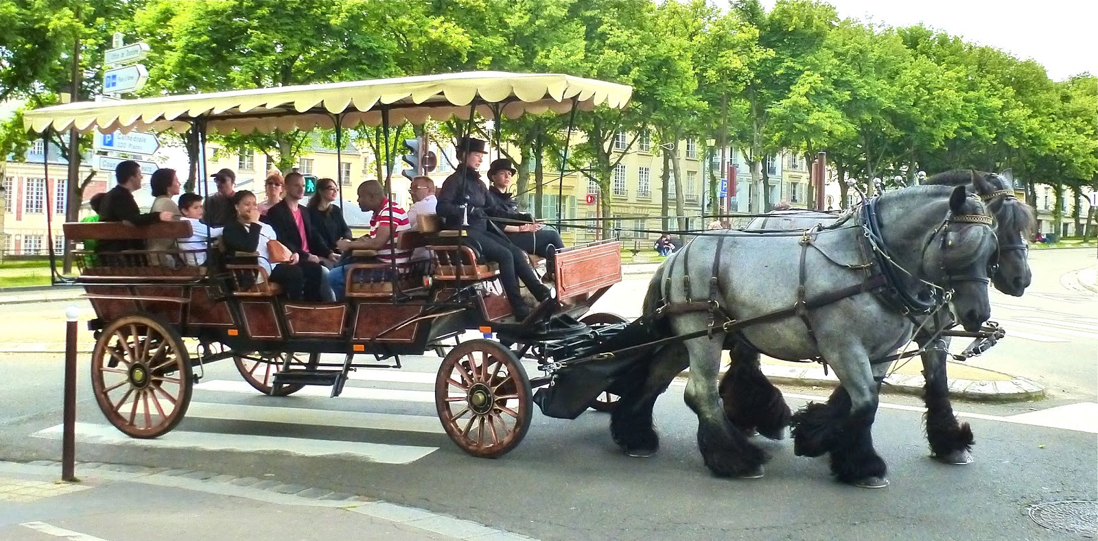 A French Education: HIPPOMOBILE