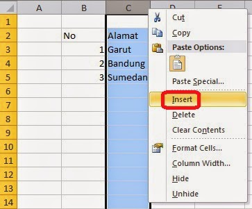 Cara Menambahkan/Menyisipkan Kolom dan Baris Pada Microsoft Excel ...