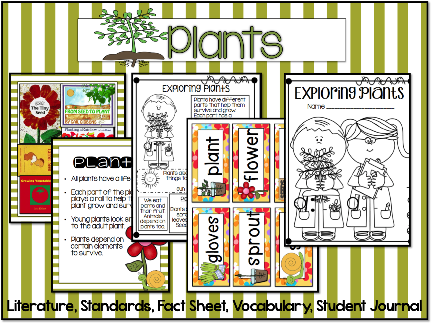 1st Grade Hip Hip Hooray!: NGSS Exploring Life...Plants, Animals, Me!