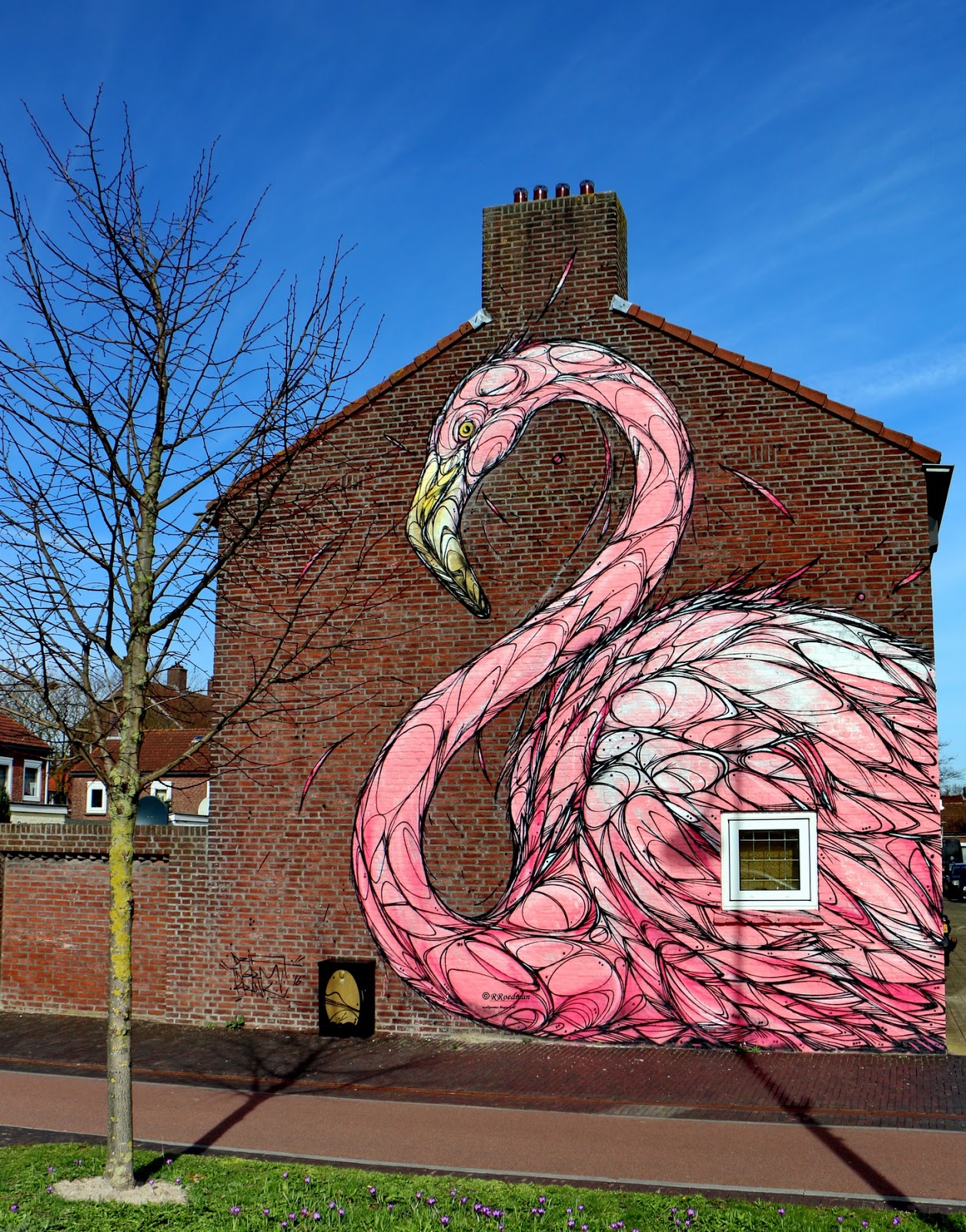 Street Art: Breda - Netherlands
