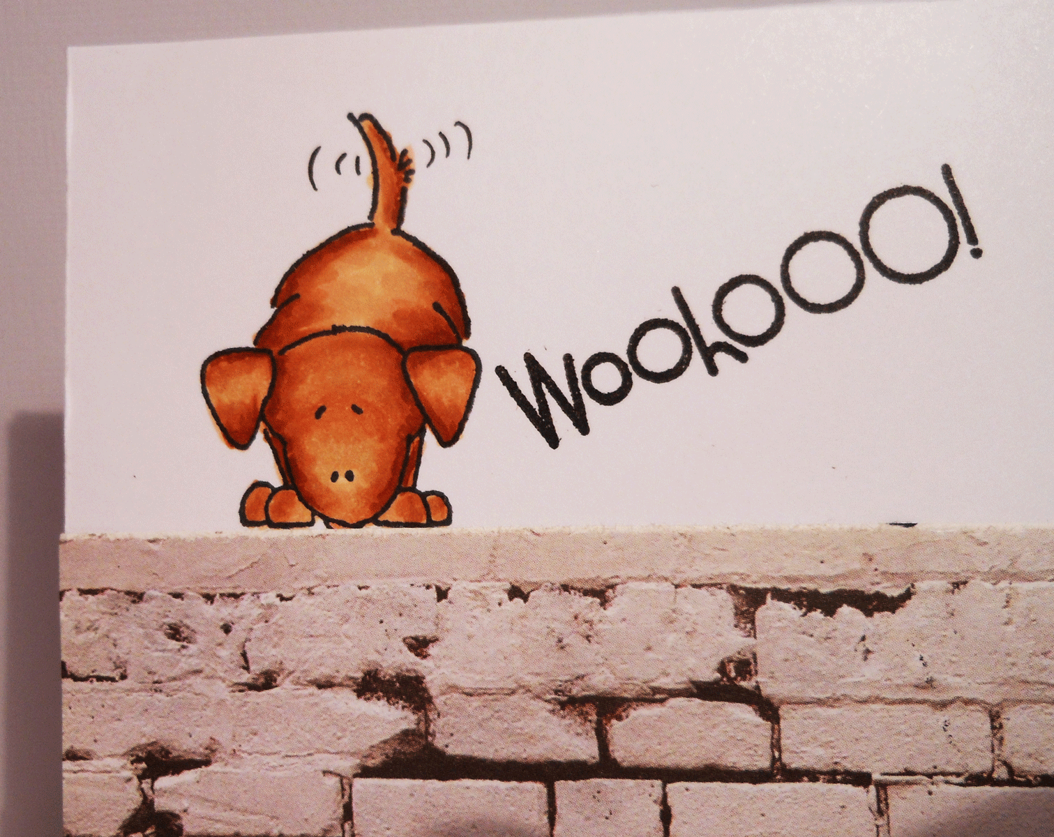 Colour and Sparkle: woohooo!