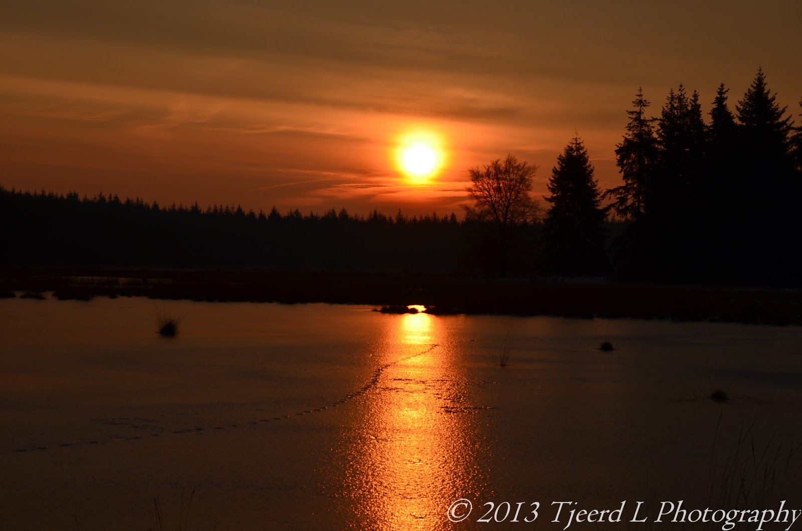 Beleef de natuur: Ochtend gloren