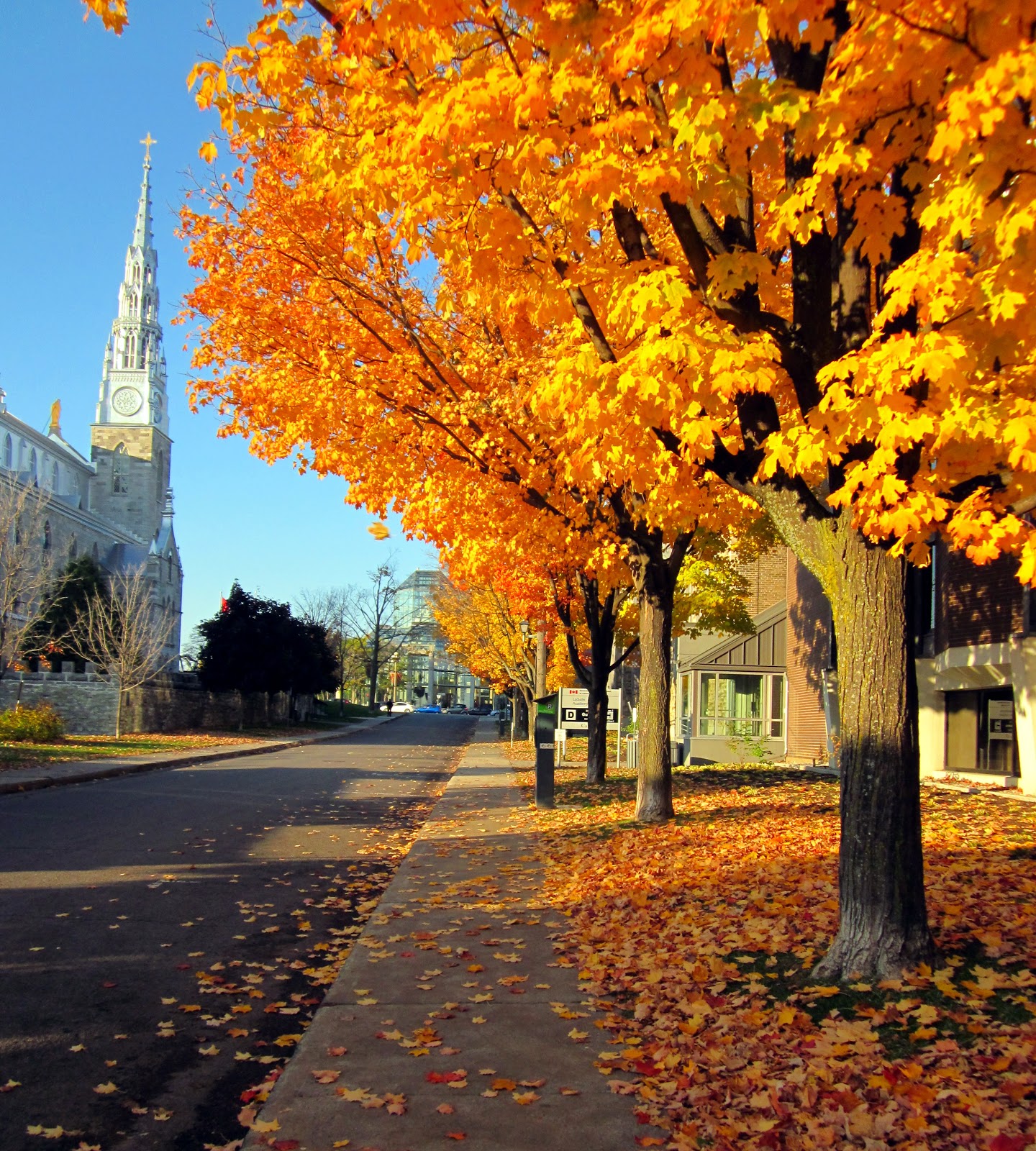 City Mouse/Country Mouse: Bright Autumn Day in the City, Dull Autumn ...