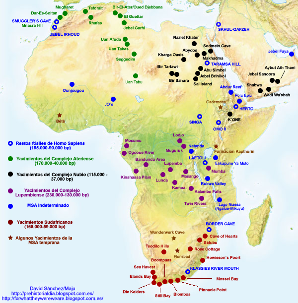 For what they were... we are: African MSA