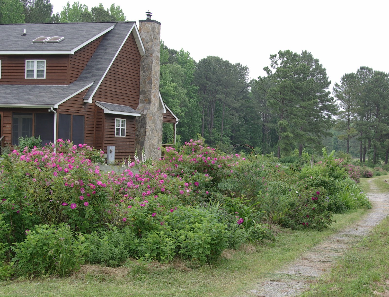 sweetbay: Blooming Friday