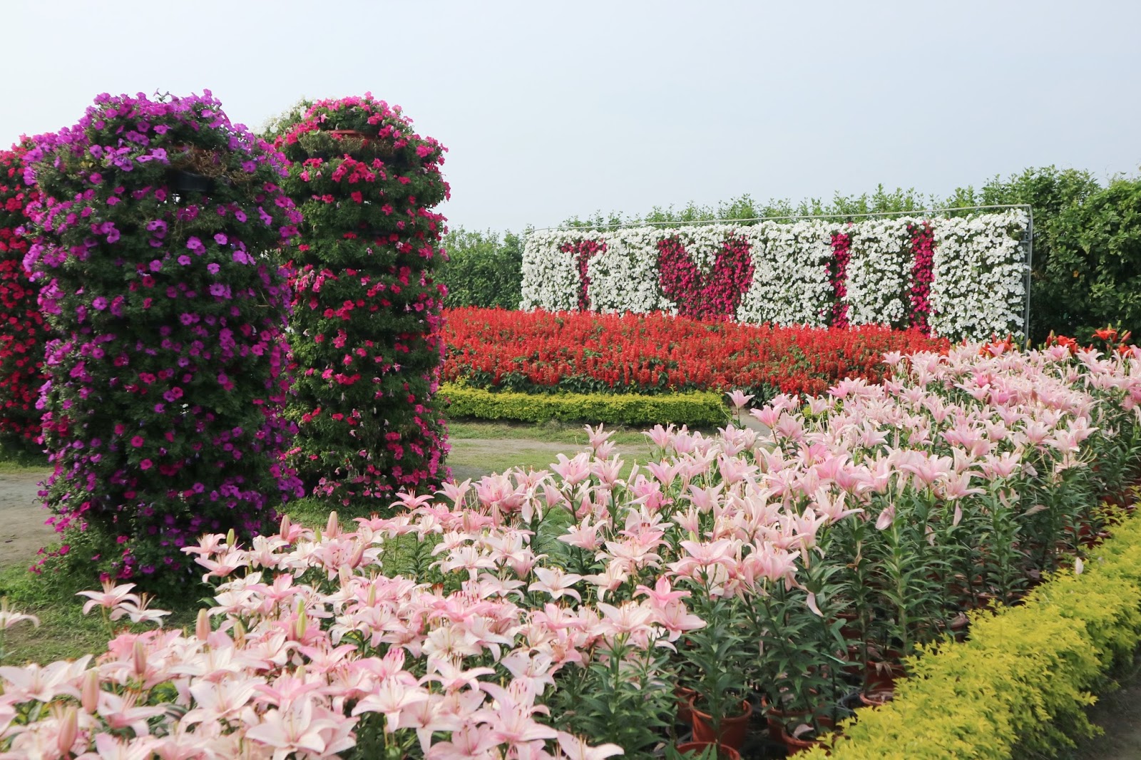 Taiwan Day 3: Zhongshe Flower Market + Rainbow Village! - ARTSY FARTSY AVA