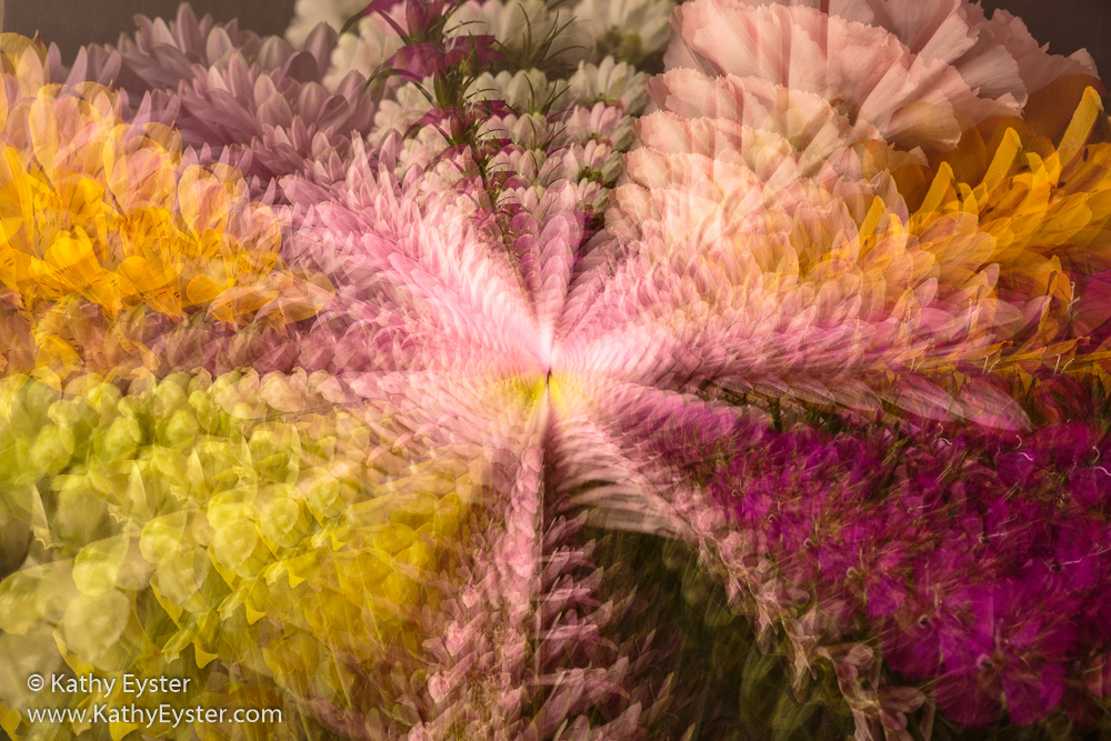 Flower Impressions -- Zooming III