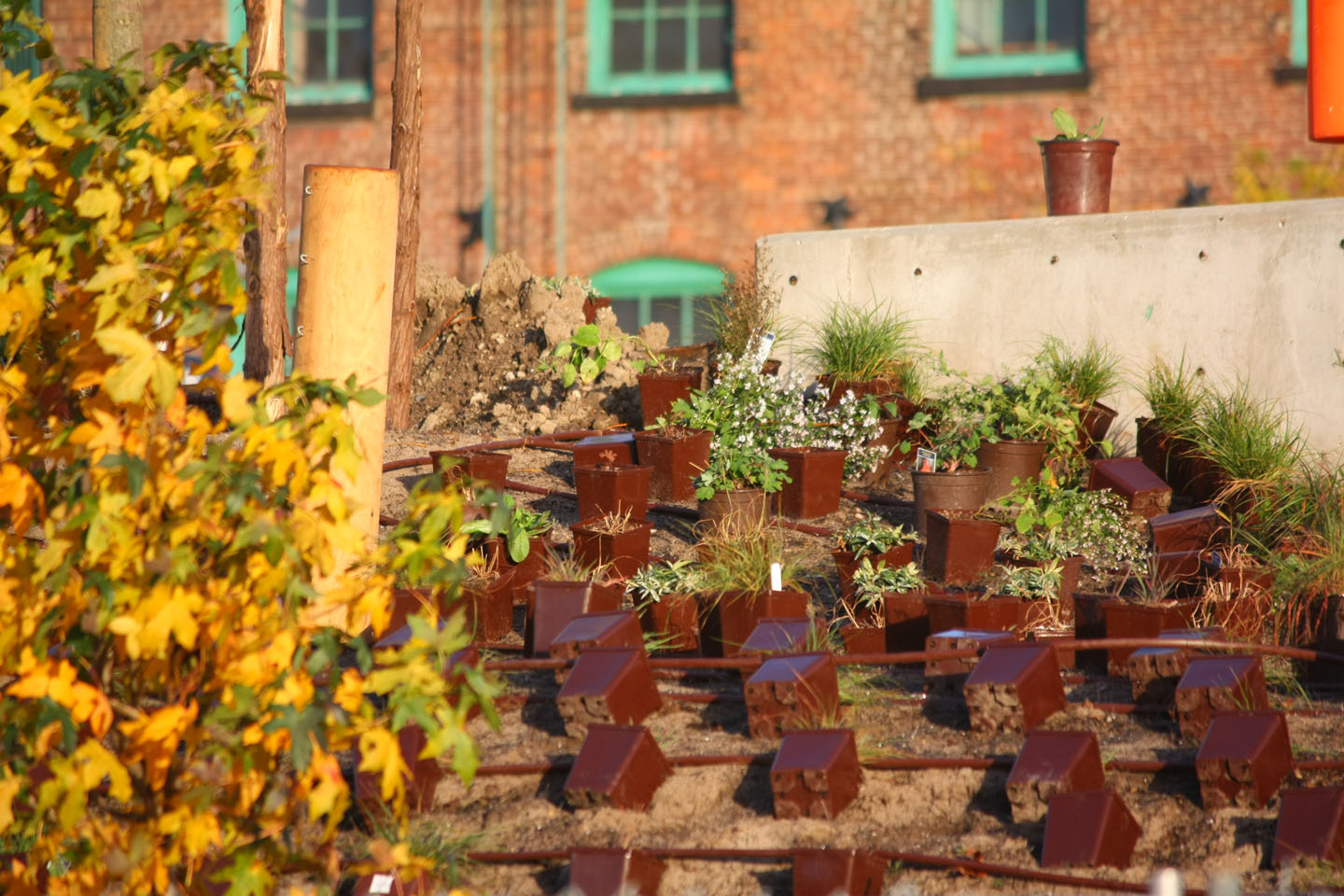 66 Square Feet (Plus): Fall in Brooklyn and what price, a park?