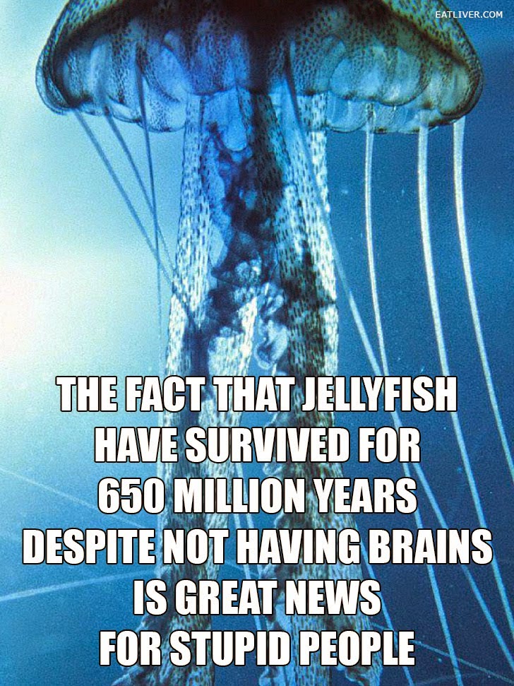 The Bizarre Rantings of A Deranged Mind