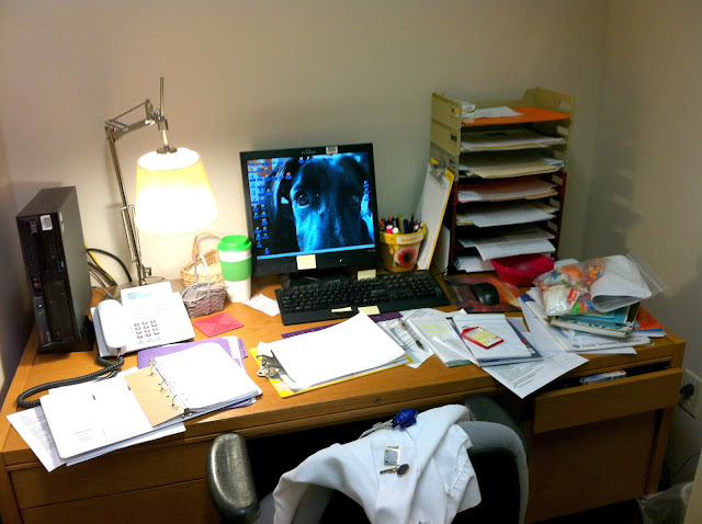 Butterfly Jungle: Hectic In The Jungle