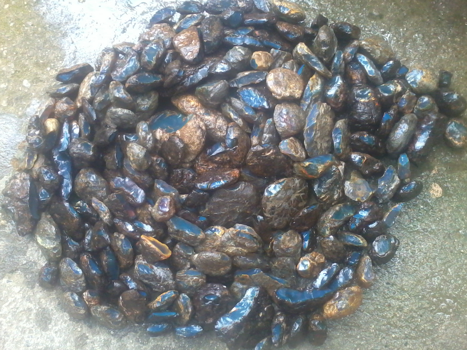 Taller De Ambar San Jose