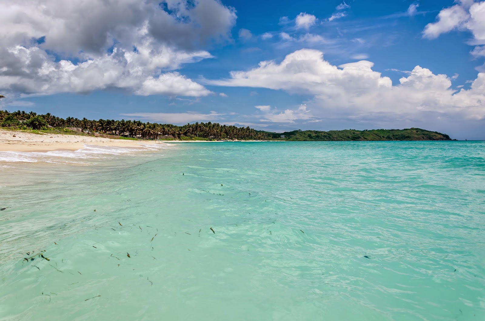 The Wayward Wanderer: Philippines Day 32-33: Puerto Princesa - Roxas ...