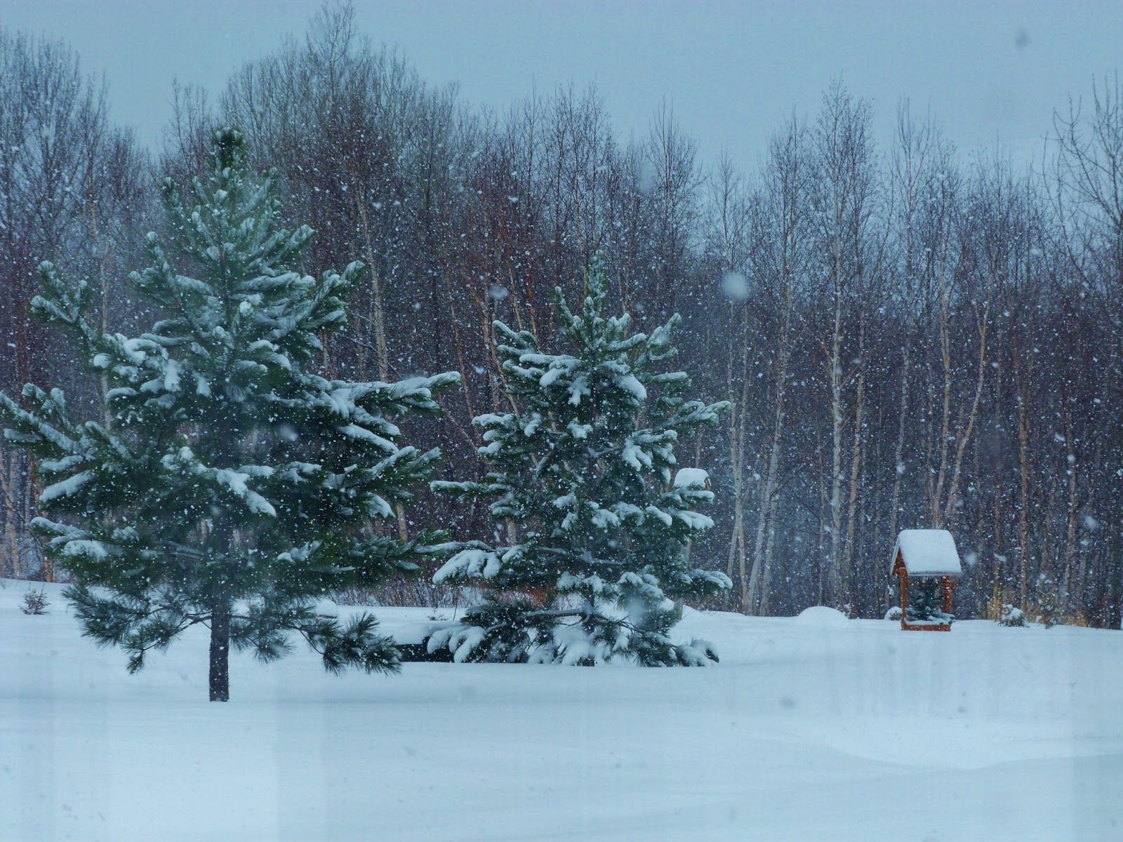 Une aventure au Québec: ça neige en Tabarnak