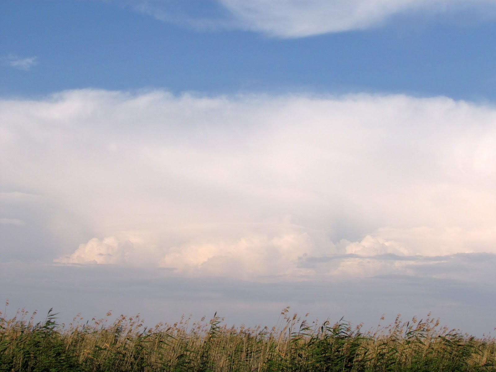 Ilm ja inimesed: Äike 23. juulil/pilves ilm 24.-25. juulil