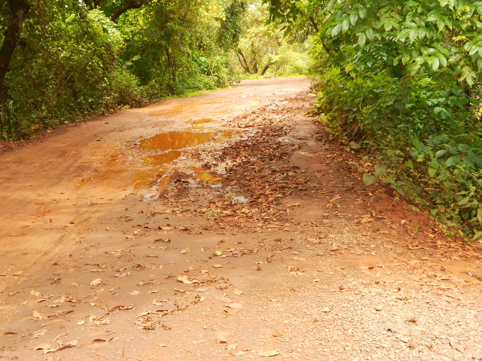 Travel and food tales: Redi Red and Shiroda White Sand Beach