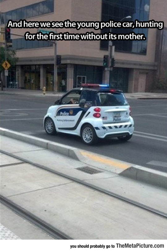 Inside A Smart Car Fart