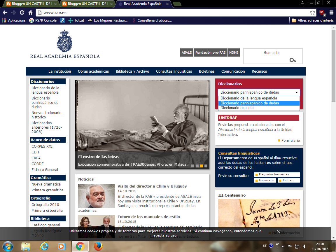 DICCIONARIO DE LA REAL ACADEMIA ESPAÑOLA