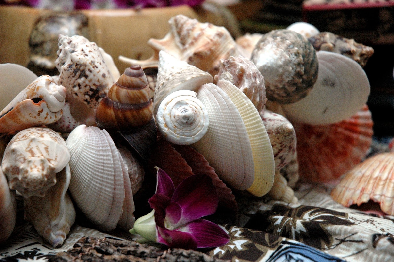 DUDE FOR FOOD: Island Fever: The Samba Bartender Series with The Tiki ...